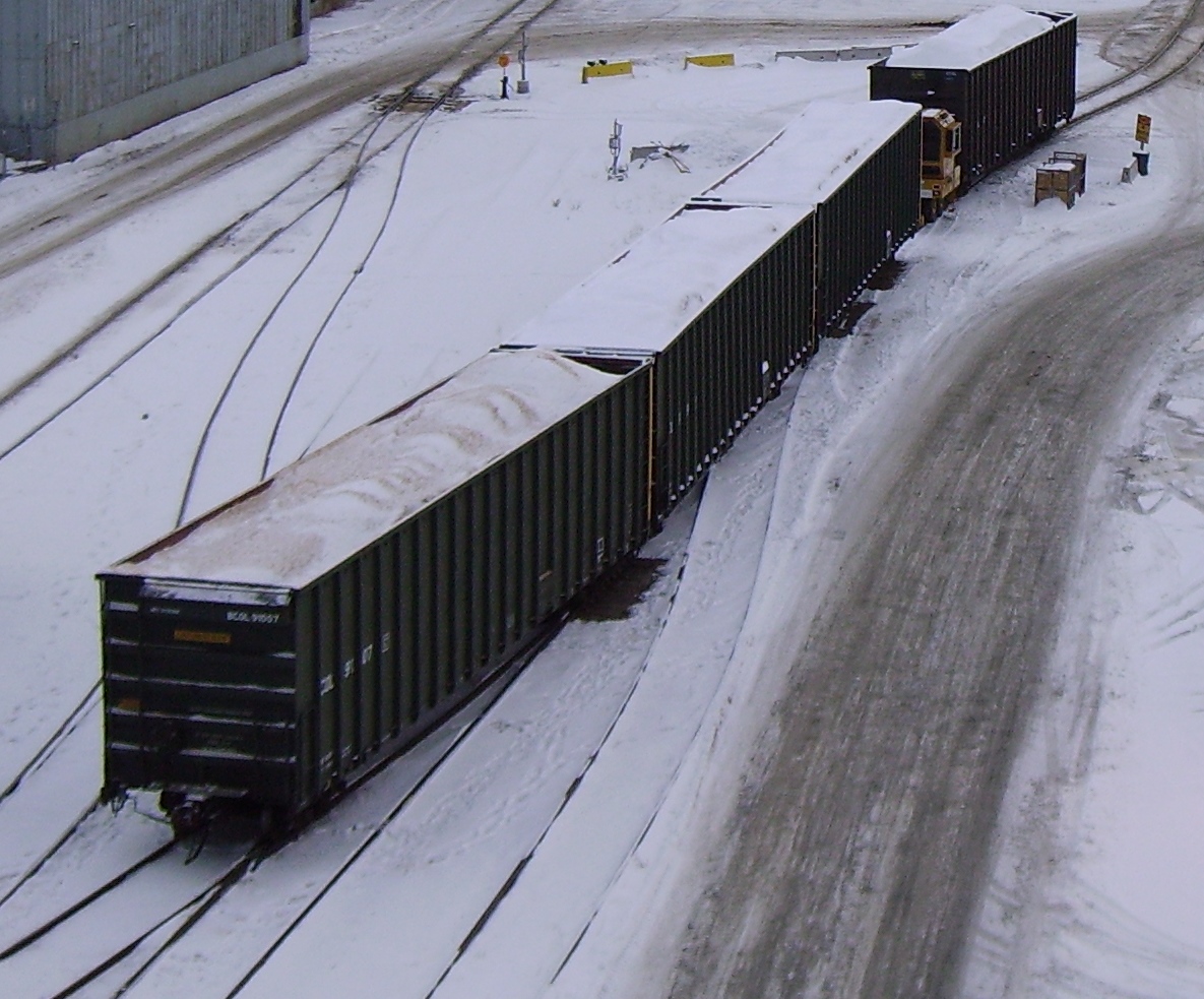 TRANSPORTING WOODY BIOMASS BY RAIL – Biomass Handling